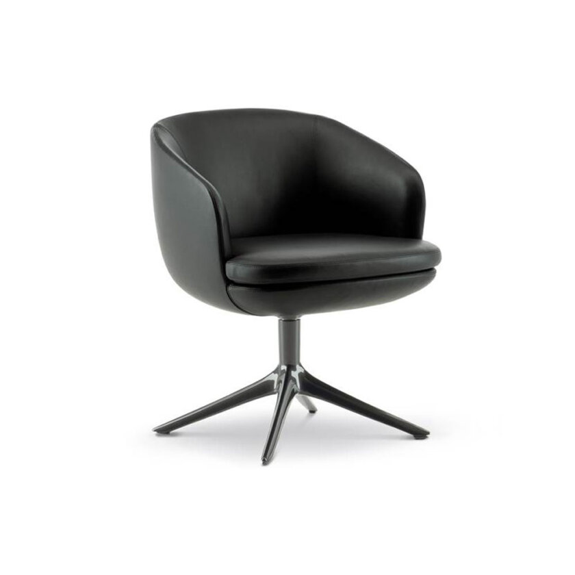 raphael Dining Chair – EuroCasa